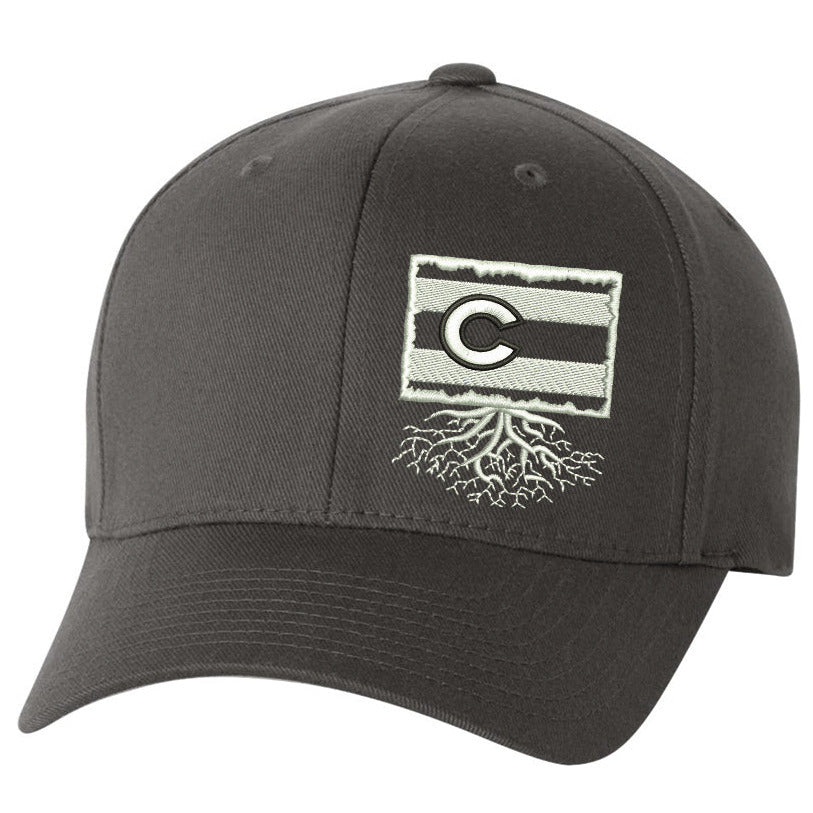 Colorado Roots Structured Flexfit Hat – WYR